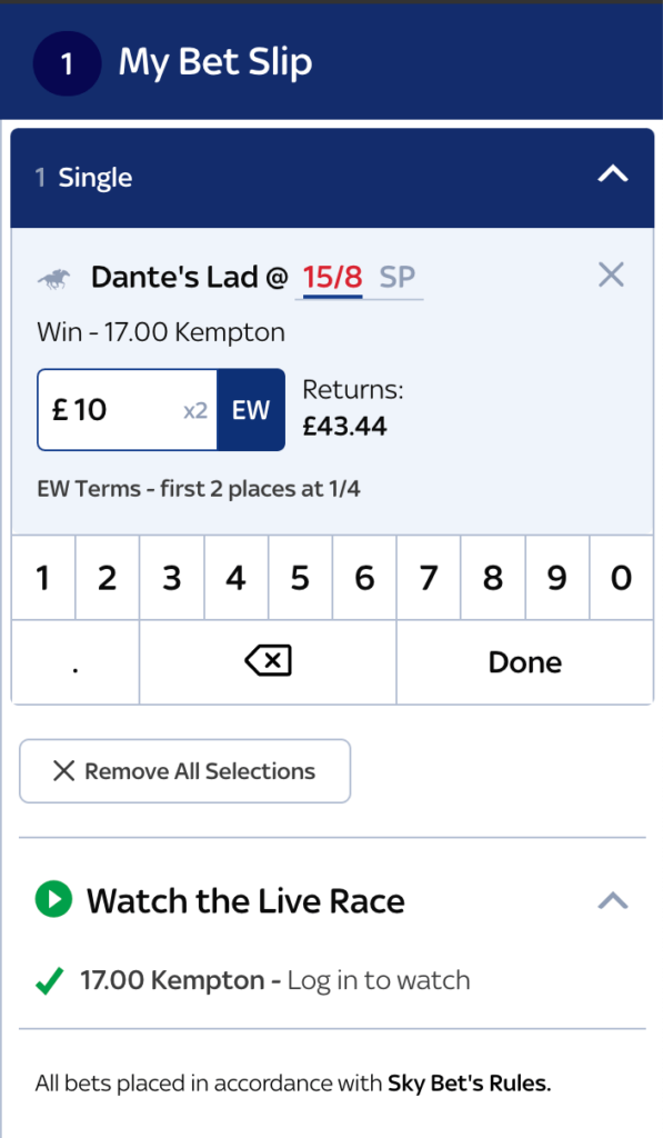 Each Way Betting Explained - What it Means & How to Calculate Winnings