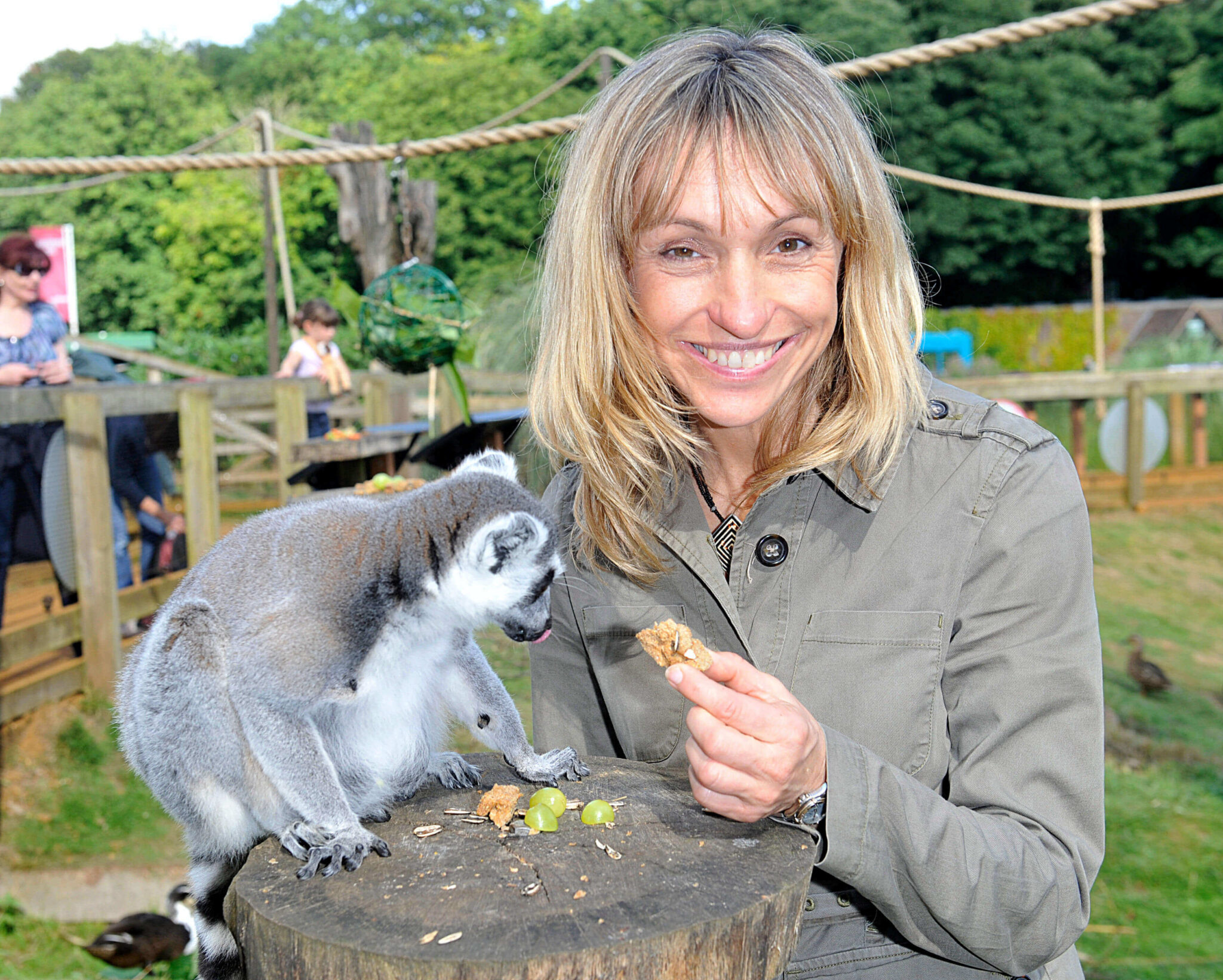 Dancing on Ice Betting Odds 2025: Michaela Strachan emerges as early ...