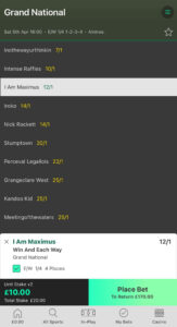 Each Way Betting Explained - What it Means & How to Calculate Winnings