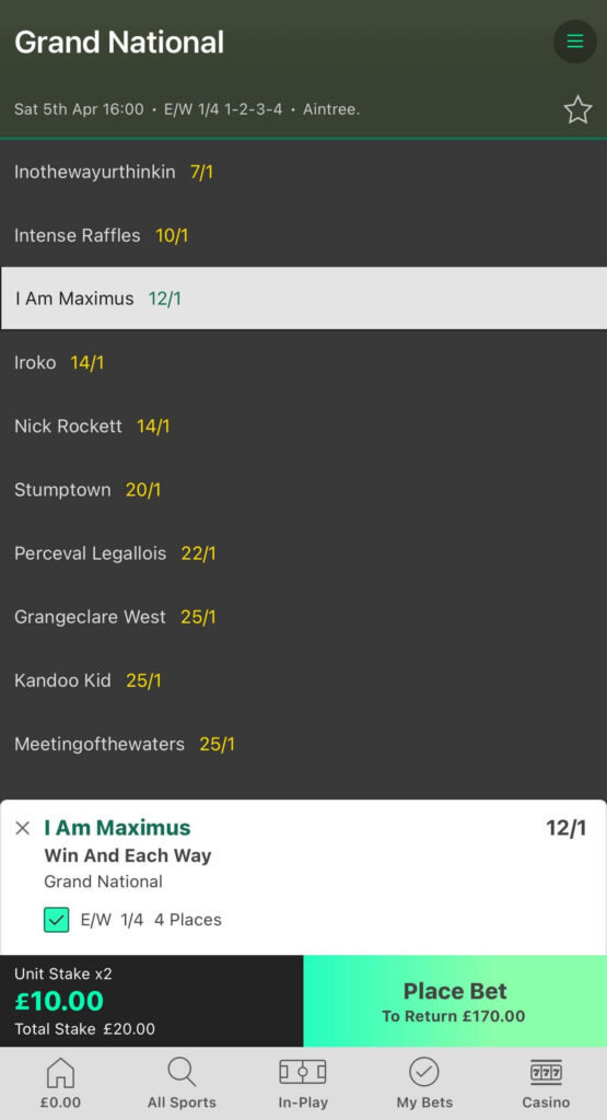 Each Way Betting Explained - What it Means & How to Calculate Winnings