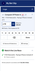 Each Way Betting Explained - What it Means & How to Calculate Winnings